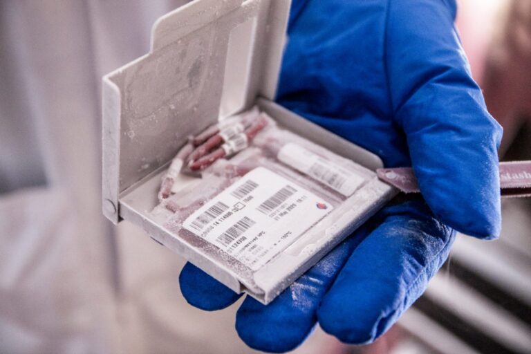 Cord Blood: A Vital Resource for Stem Cell Transplantation | WMDA